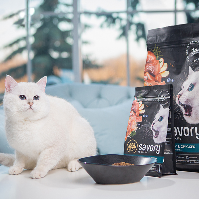 Сухой корм для котят Savory Kitten Chicken with Fresh Turkey со свежим ...