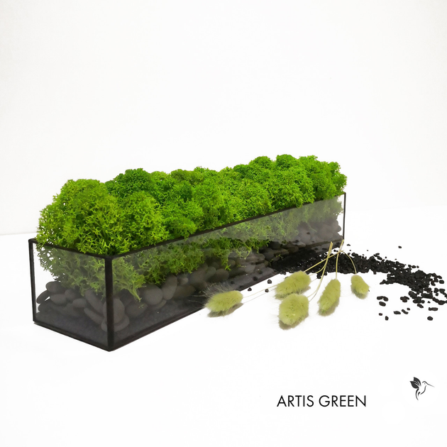 Стеклянное кашпо с черными камнями со мхом Artis Green салатовый G24/1 ...