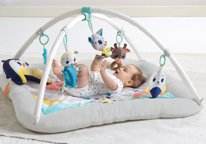 Розвивальний килимок Tiny Love Північний полюс плюшевий (1205406830) (7290108861631) – Безпечно ...