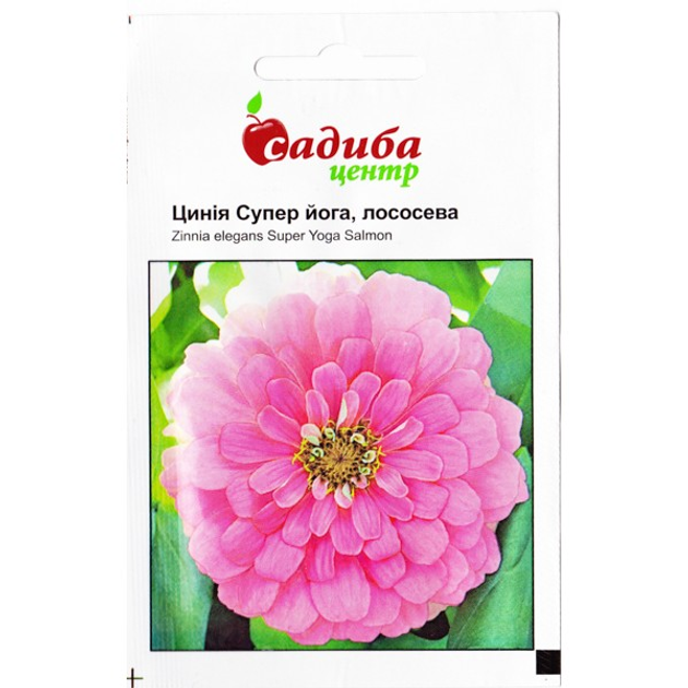 Цинния Супер Йога - ROZETKA | Купить семена циннии Супер Йога в Киеве ...