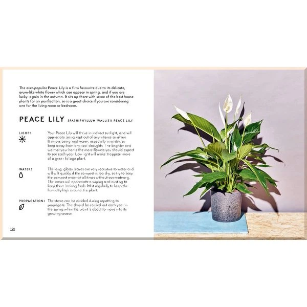 Книга The Little Book of House Plants and Other Greenery. Emma Sibley ...