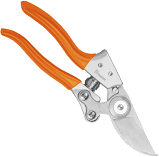 Секатор для обрезки веток Bradas V-SERIES сталь SK5 (KT-V1023) – купить ...