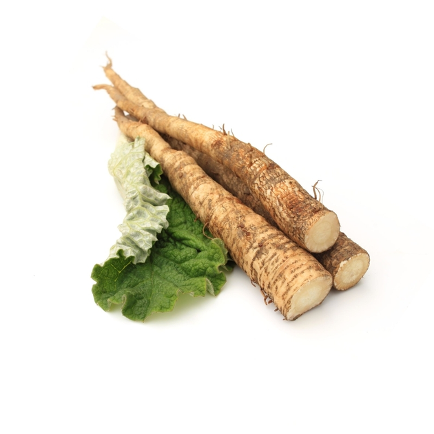 Семена лопуха большого (Arctium lappa) 100 семян OGOROD – купить онлайн ...
