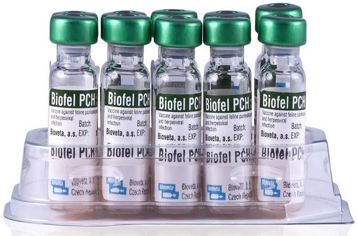 Biofel РСН (Биофел ПКГ), Bioveta вакцина для кошек Bvt50481 – купить ...