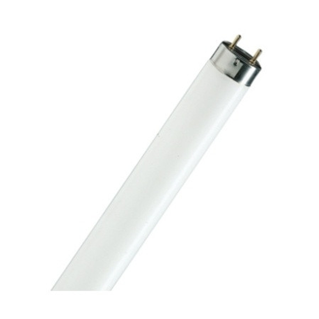 Лампа люминесцентная Osram T8 Fluora L18W/77 G13 – фото, отзывы ...