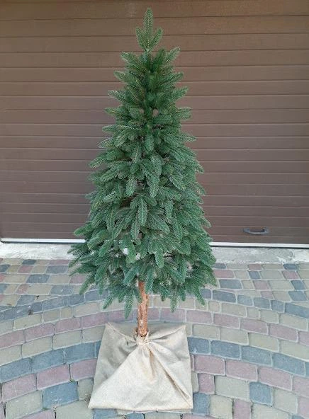 Лита ялинка Тріумф на пні на натуральному стовбурі 1 8 м Зелений на пні Тріумф 180 фото