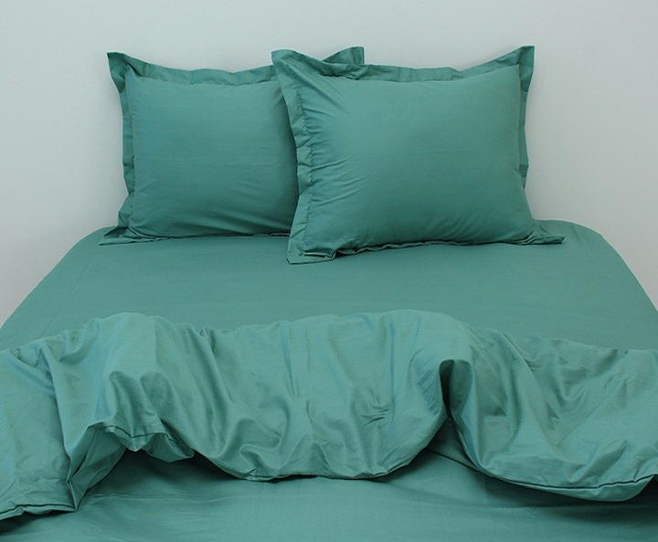 Комплект постельного белья Green TAG 260х245 см Сатин люкс Семейный ...