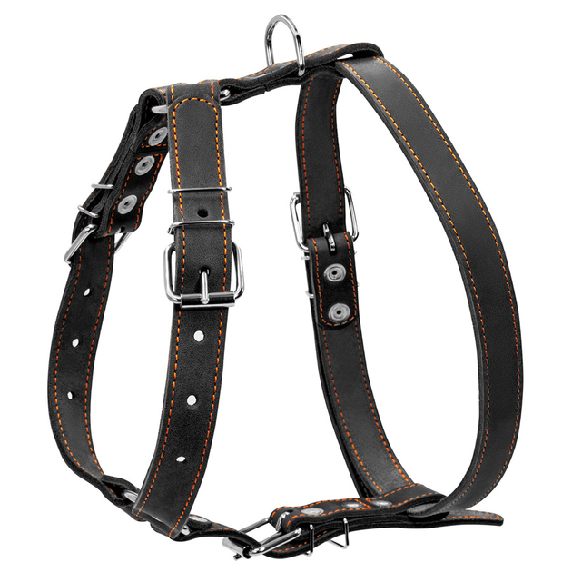 Шлея одинарная CoLLaR L (zoo0001189) Черный – низкие цены, кредит ...
