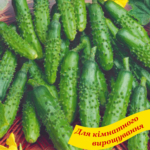 Огурцы балконные - ROZETKA. Купить семена балконных огурцов в Украине ...