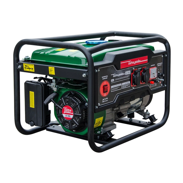 Генератор бензиновый Tatra Garden GE 3000, 3.0 кВт, бензогенератор ...