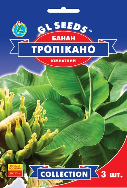 Банан Тропікано насіння (3 шт), Collection, TM GL Seeds – купити онлайн на ROZETKA