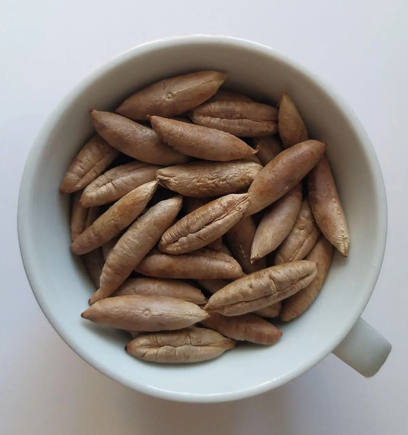 Купить Натуральный финиковый кофе классический, крепкий, без кофеина ...