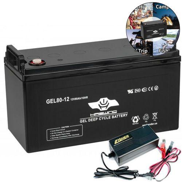 Тяговый аккумулятор Haswing. 12V. 60A/h GEL. +З/У. Гелевая тяговая ...