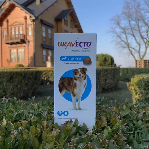 БРАВЕКТО 20-40кг таблетка для собак против блох и клещей Bravecto ...