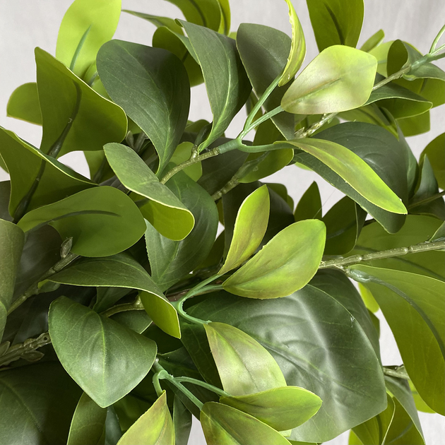 Штучна гілка Рускуса Італійського, декоративна зелень – фото, відгуки ...