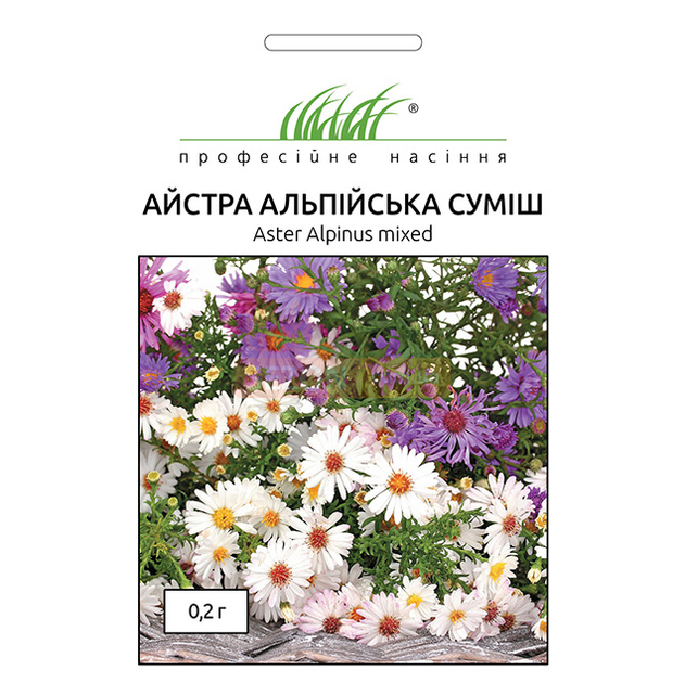 Астры альпийские - ROZETKA | Купить семена и саженец астры альпийской в ...