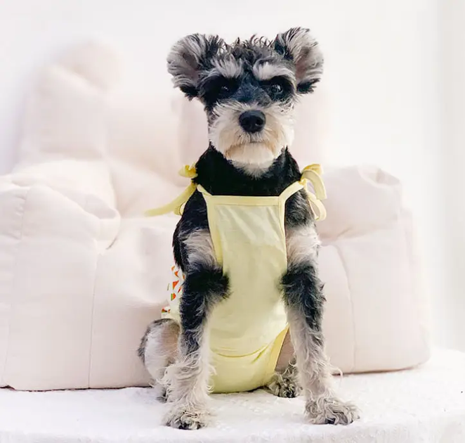 Трусы - боди гигиенические для собак желтый с принтом арбуз XL от ...