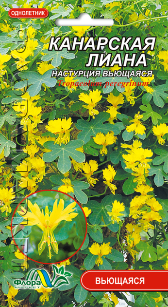 Семена Настурция Канарская лиана, 1 г (ФлораМаркет) – купить онлайн на ...