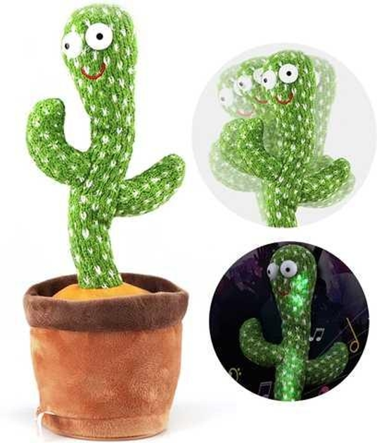 Танцующий кактус Dancing Cactus 2023-9А 32 см (71901SH721) – фото ...