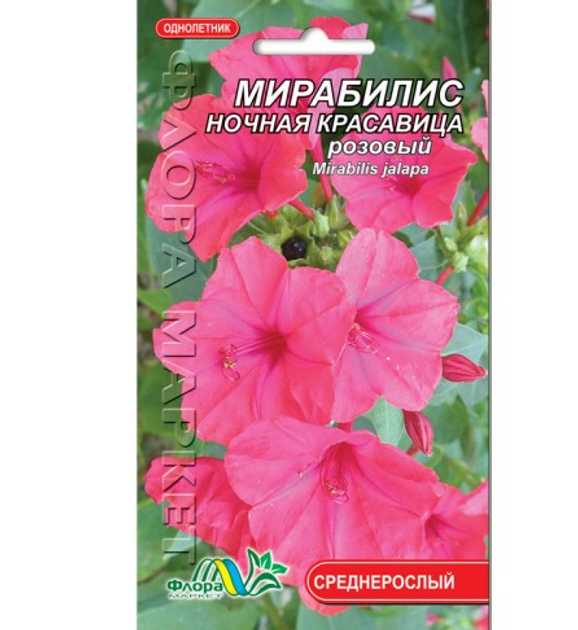 Мирабилис Ночная красавица - ROZETKA | Купить семена мирабилиса Ночная ...