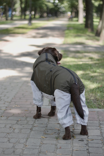 Дождевик для больших собак Dogs Bomba хаки, размер 10 от продавца ...