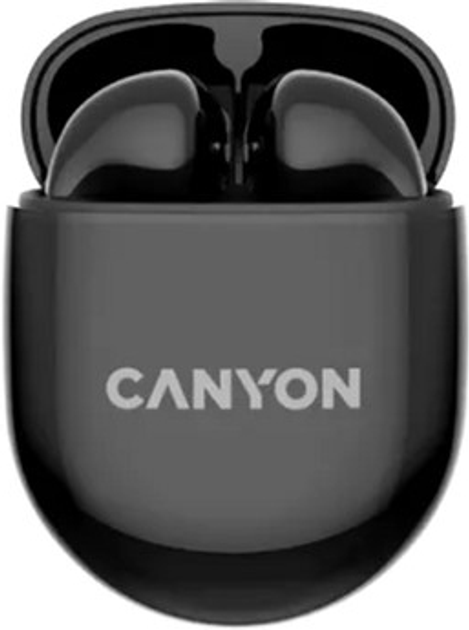 Беспроводные наушники Canyon TWS-6 Black (CNS-TWS6B) купить в интернет ...