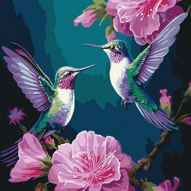 Картина по номерам Сказочные птицы колибри с красками металлик 40x40 ...