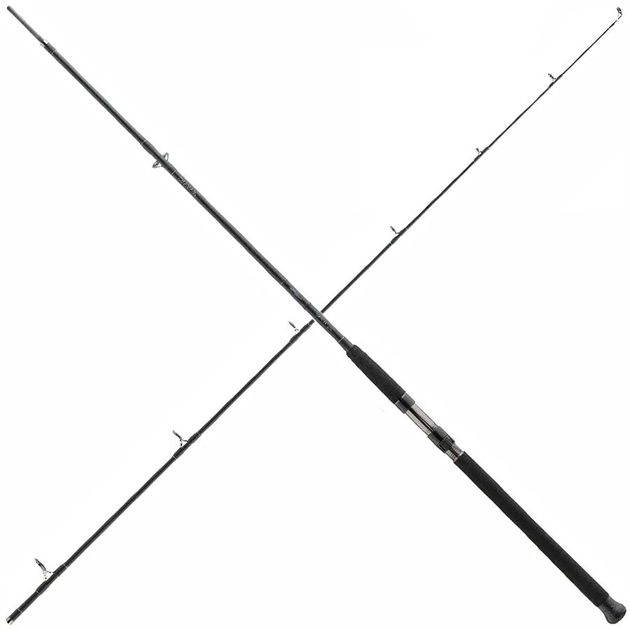 Спінінг Daiwa Exceler Catfish Spin 2.40m 185gr – фото, відгуки ...