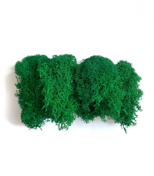 Мох ягель стабілізований Premium 15 г Смарагдовий 12405 фото відгуки характеристики в