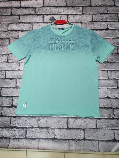 Футболка мужская большого размера Red Down , 9XL, Мята от продавца ...