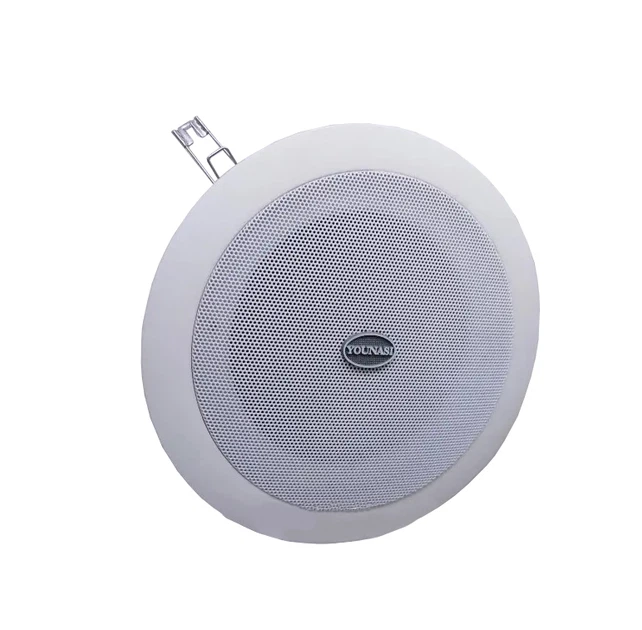 Стельовий динамік закритий 6.5 дюймів Younasi Y040 6Вт 100В – фото ...