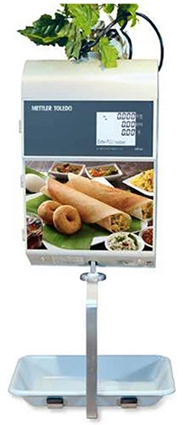 Весы с чекопечатью подвесные LPS Mettler Toledo Scale bPlus-H2M-EE15D ...