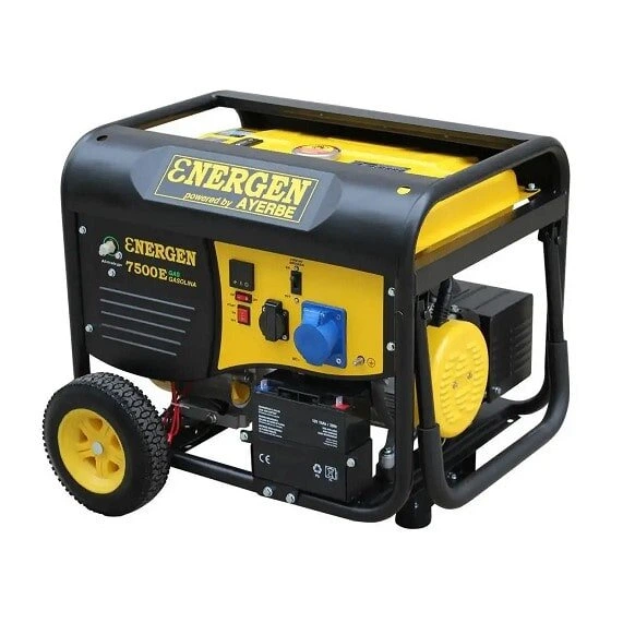 Генератор газовий AYERBE ENERGEN EN 7500E GAS – фото, відгуки ...