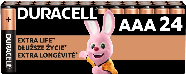 Лужні батарейки Duracell AAA (LR03) MN2400 24 шт + Plush Bunny 1 шт ...