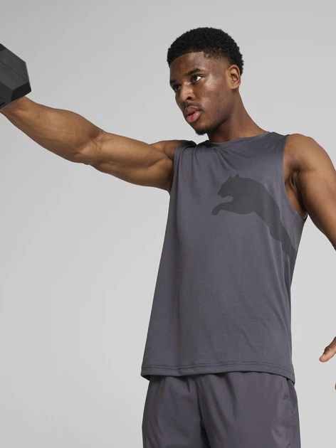 Спортивная майка мужская Puma Tad Big Logo Tank 52672069 S Galactic ...