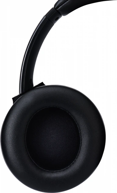 Навушники Panasonic RB-M600B Black (RB-M600BG-K) купити в інтернет ...