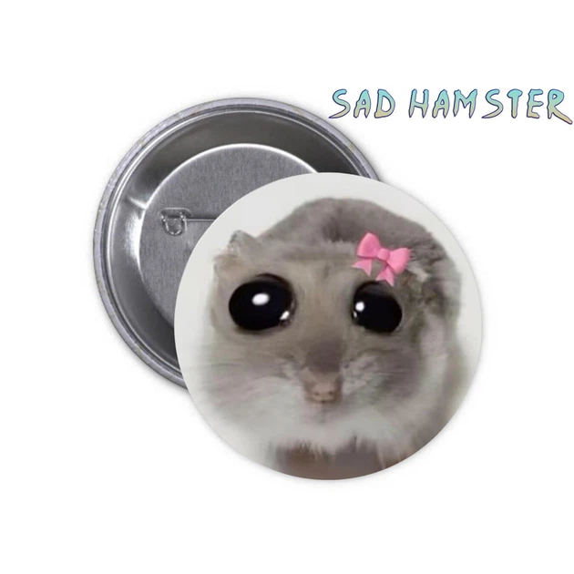 Значок Sad Hamster | Сумний хом’як з великими очима | meme | mem | мем ...