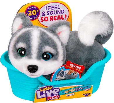 Інтерактивна м'яка іграшка Хаски Little Live Pets – іграшки з доставкою від ROZETKA
