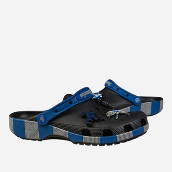 Чоловічі крокси Crocs Ravenclaw Classic Clog 210528-90H 45-46 (M11) 29 ...