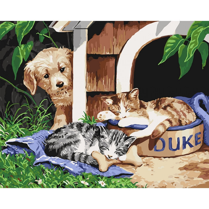 Картина по номерам Герцог, 40x50 см., Идейка – фото, отзывы ...