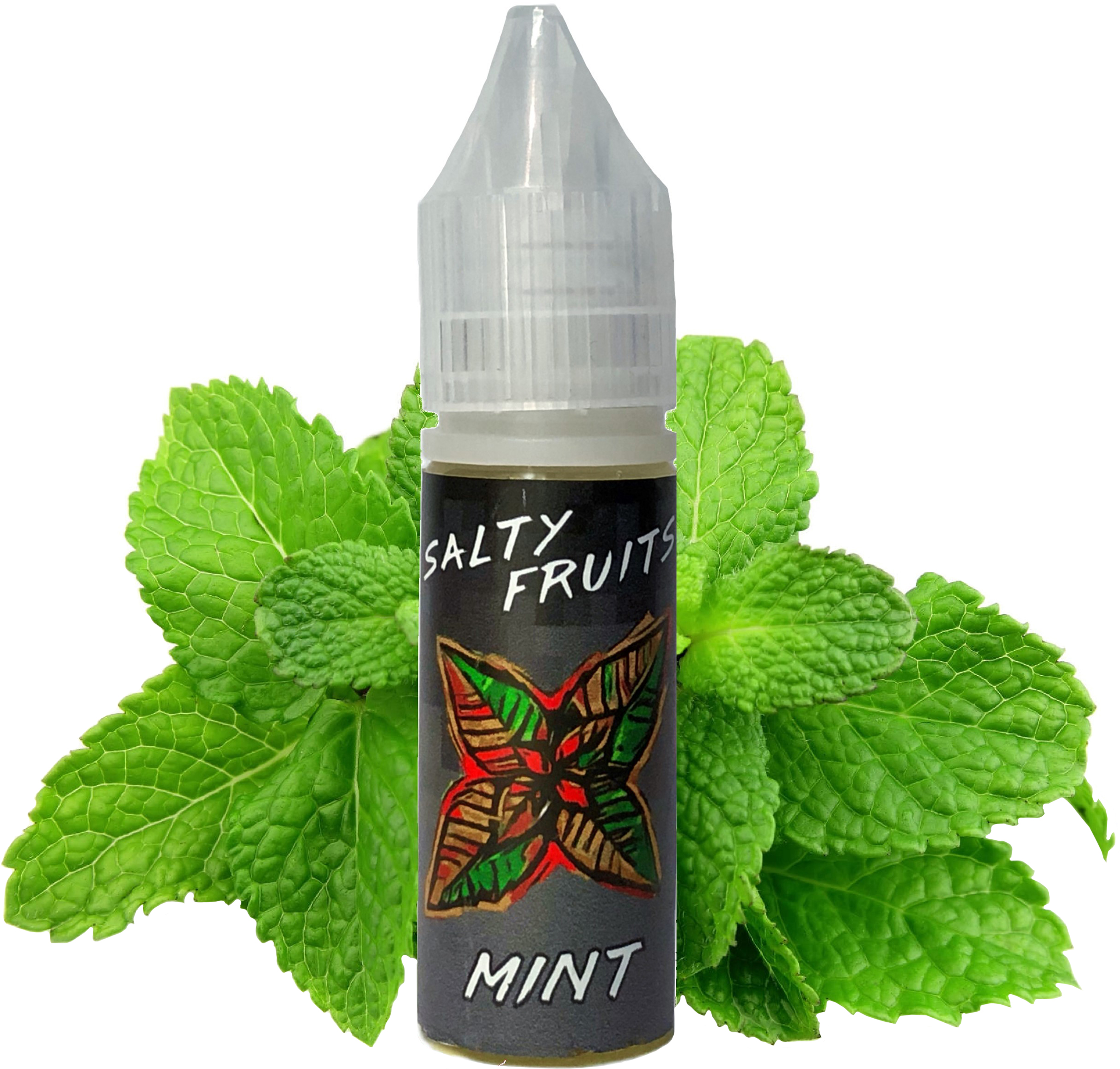 Жидкость для POD систем Salty Fruits Mint 25 мг 18 мл (Мята) (SF-MT-18-25) – фото, отзывы ...