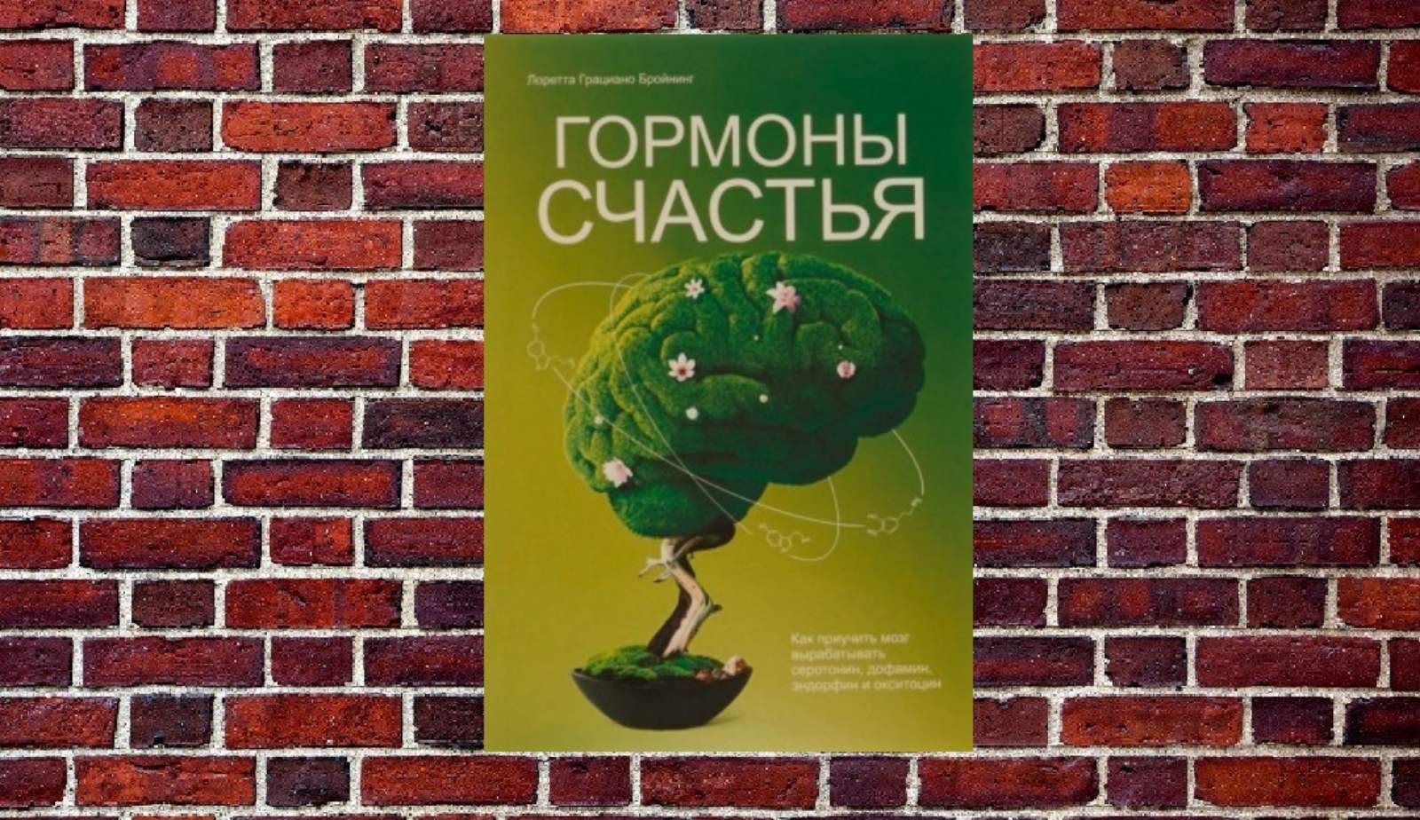 Книга "Гормоны счастья" Лоретта Грациано Бройнинг от продавца: Vitoland ...
