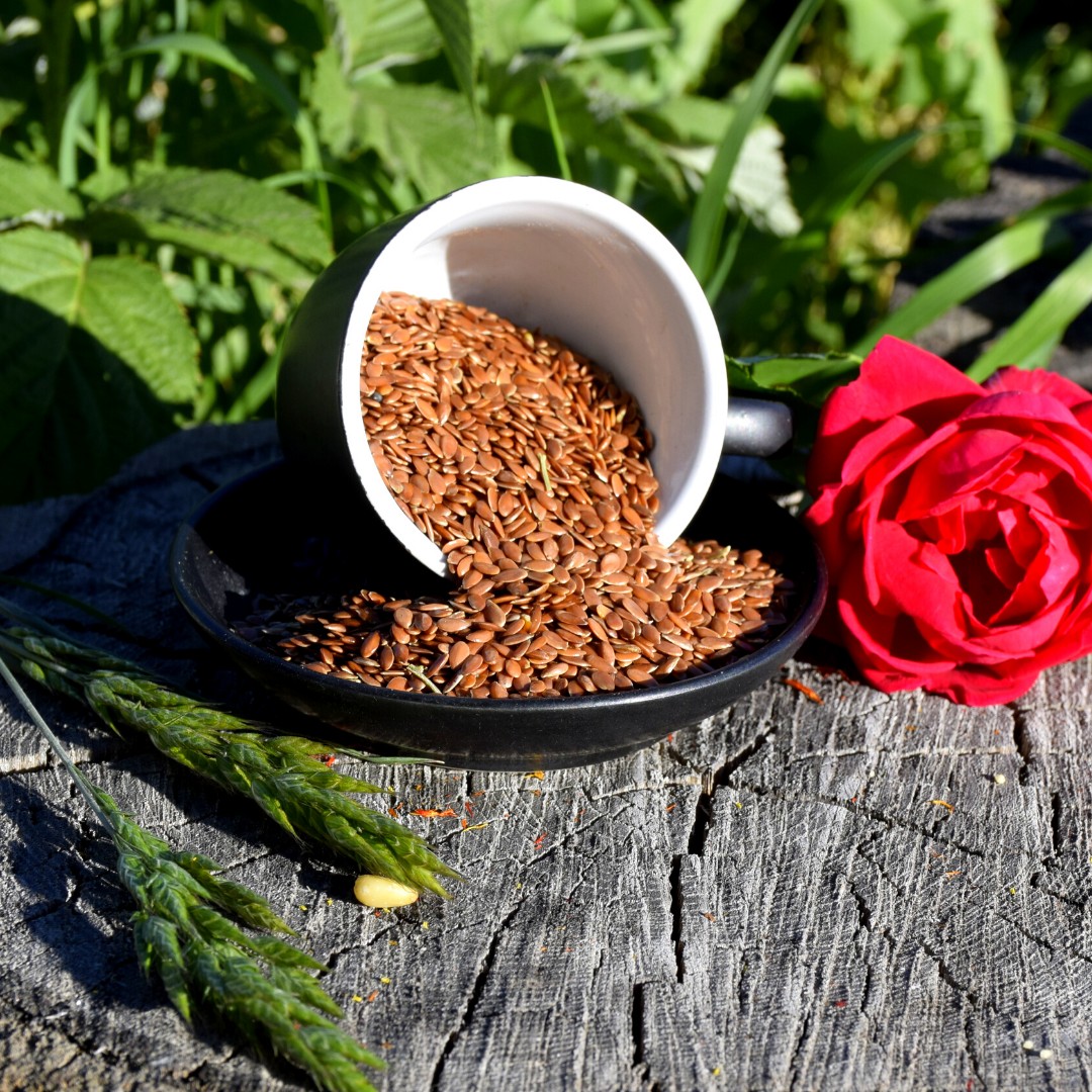 Семена льна 100г. от продавца: Almond – купить в Украине – ROZETKA ...