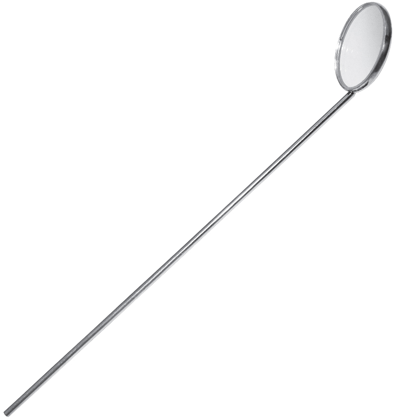 Зеркало носоглоточное Surgicon Laryngeal диаметр 24 мм (2000988945490 ...
