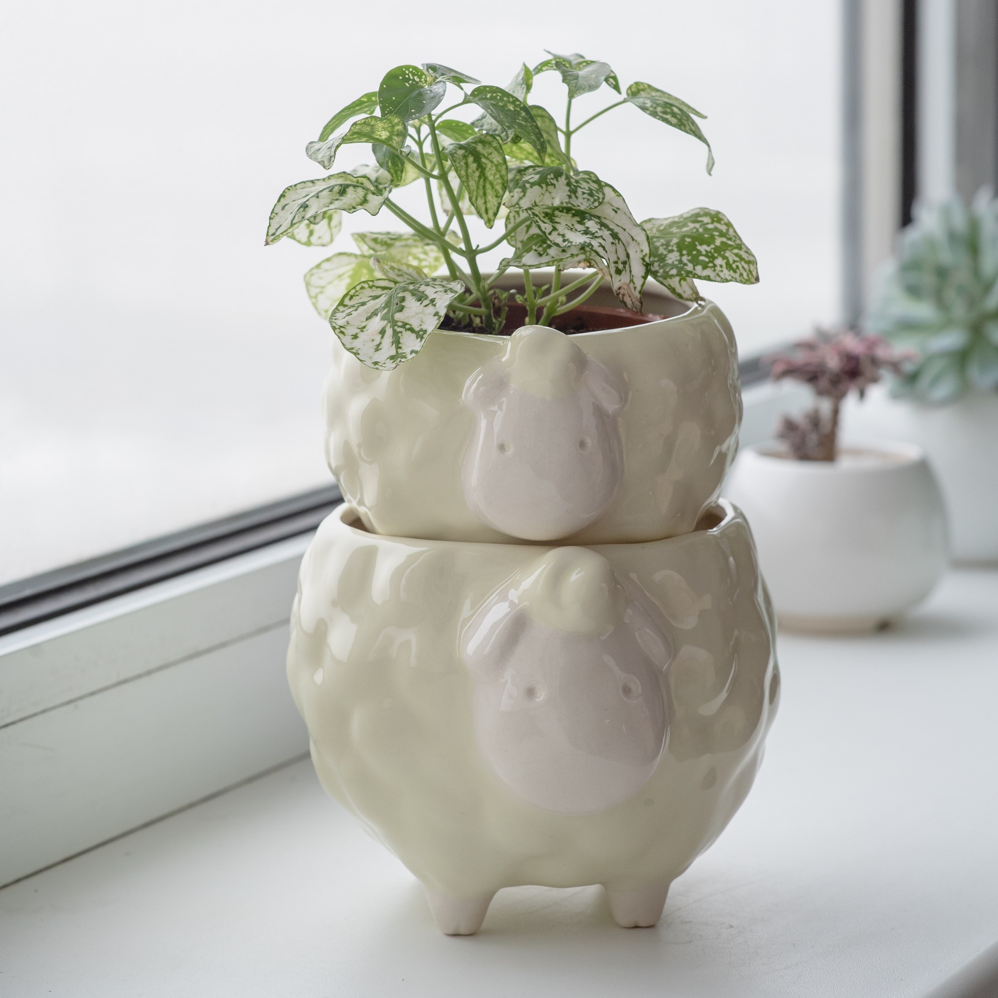 Кашпо декоративные Овечки Mini Plant набор 2 шт Желтый – фото, отзывы ...