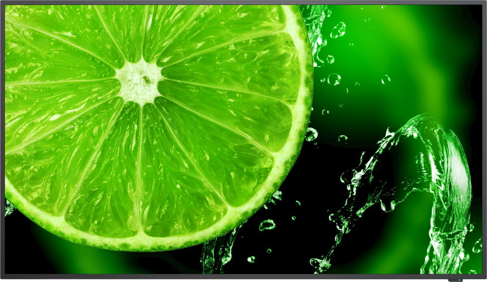 Монітор 55" NEC MultiSync E558 (60005054) – фото, відгуки ...