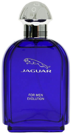 Rozetka.pl | Woda toaletowa męska Jaguar Evolution Eau De Toilette ...