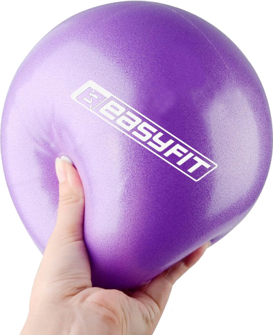 Мяч для пилатеса, фитнеса и йоги EasyFit EF-1221 25 см Фиолетовый ...