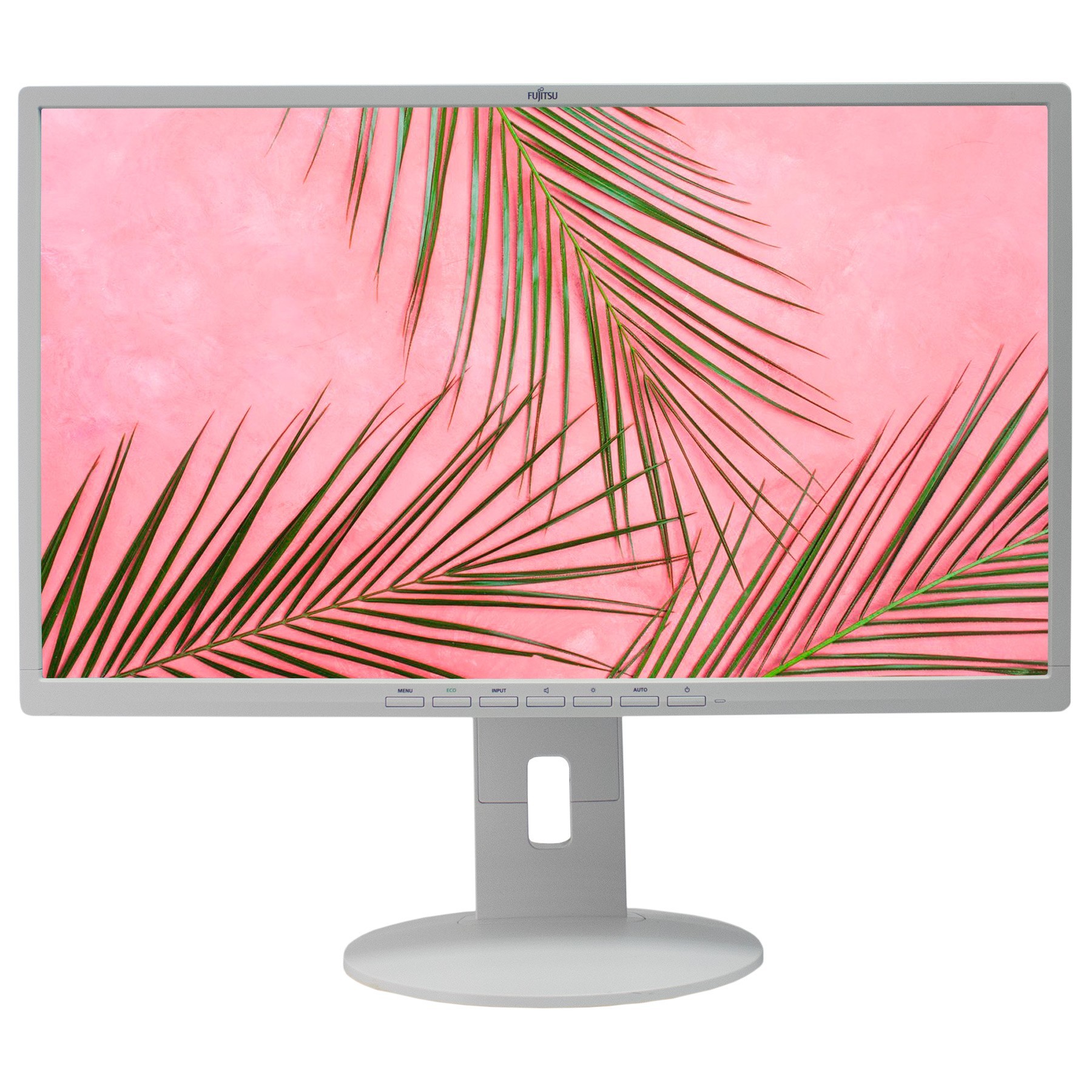 Монитор 23.8" Fujitsu B24-8TE Pro FullHD IPS DisplayPort/DVI/VGA USB ...