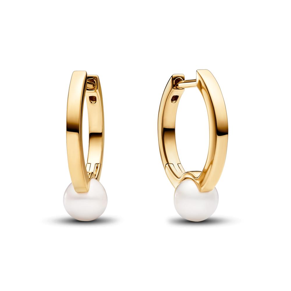 Серьги хупы с жемчугом 263170C01 от продавца: Шарми та браслети – в ...
